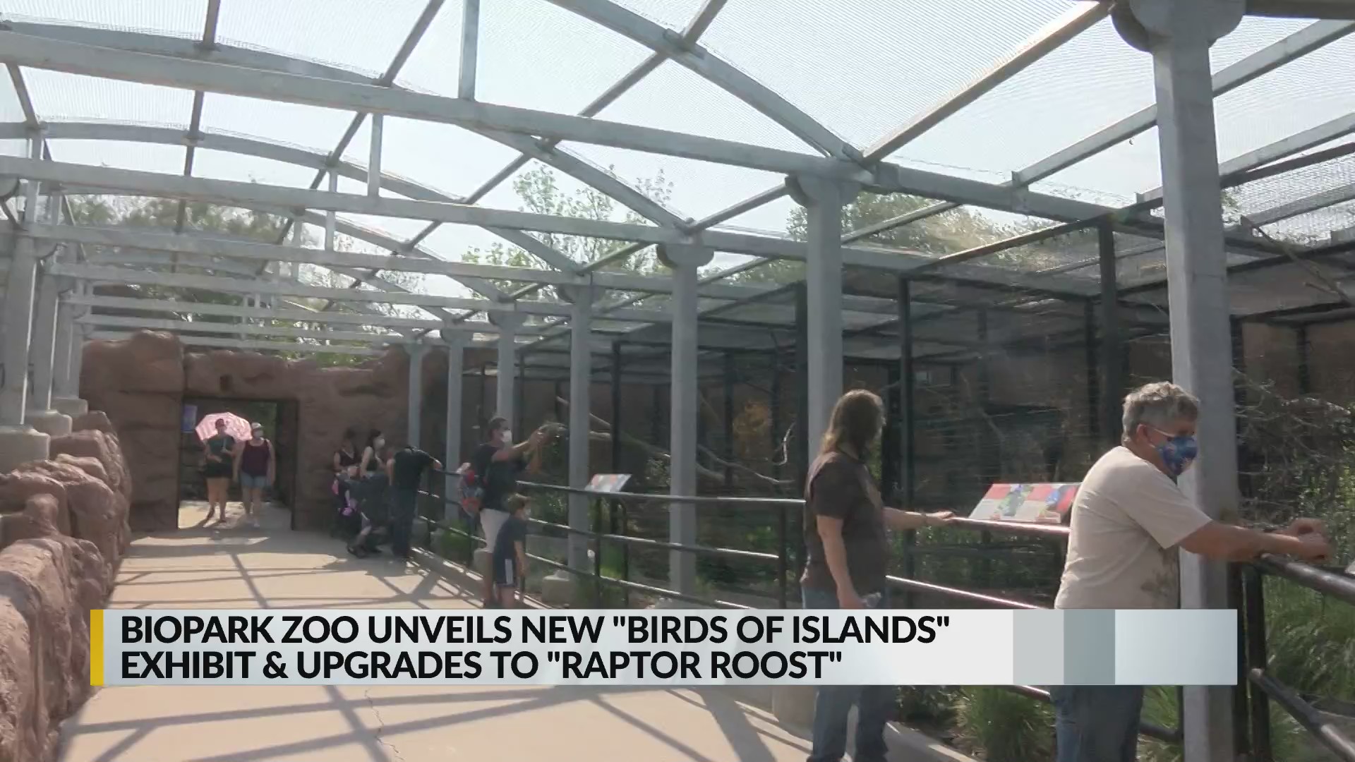 BioPark Zoo unveils new ‘birds of island’ exhibit, upgrades to raptor ...