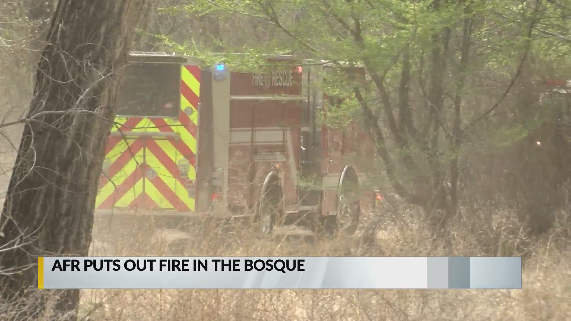 Albuquerque Fire Rescue puts out fire in Bosque – KRQE NEWS 13 ...
