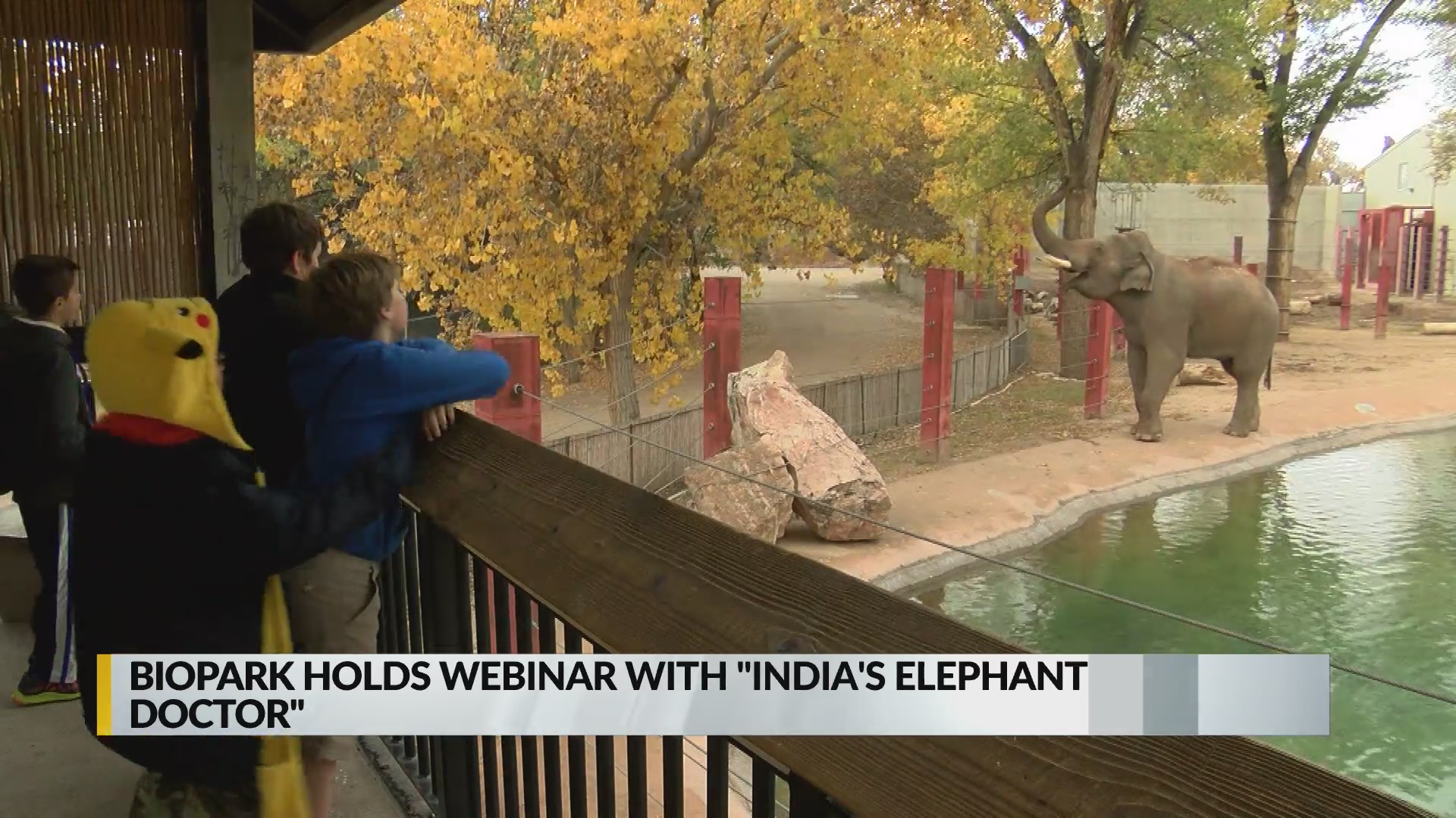 ABQ BioPark to host webinar featuring India’s ‘Elephant Doctor’ – KRQE ...