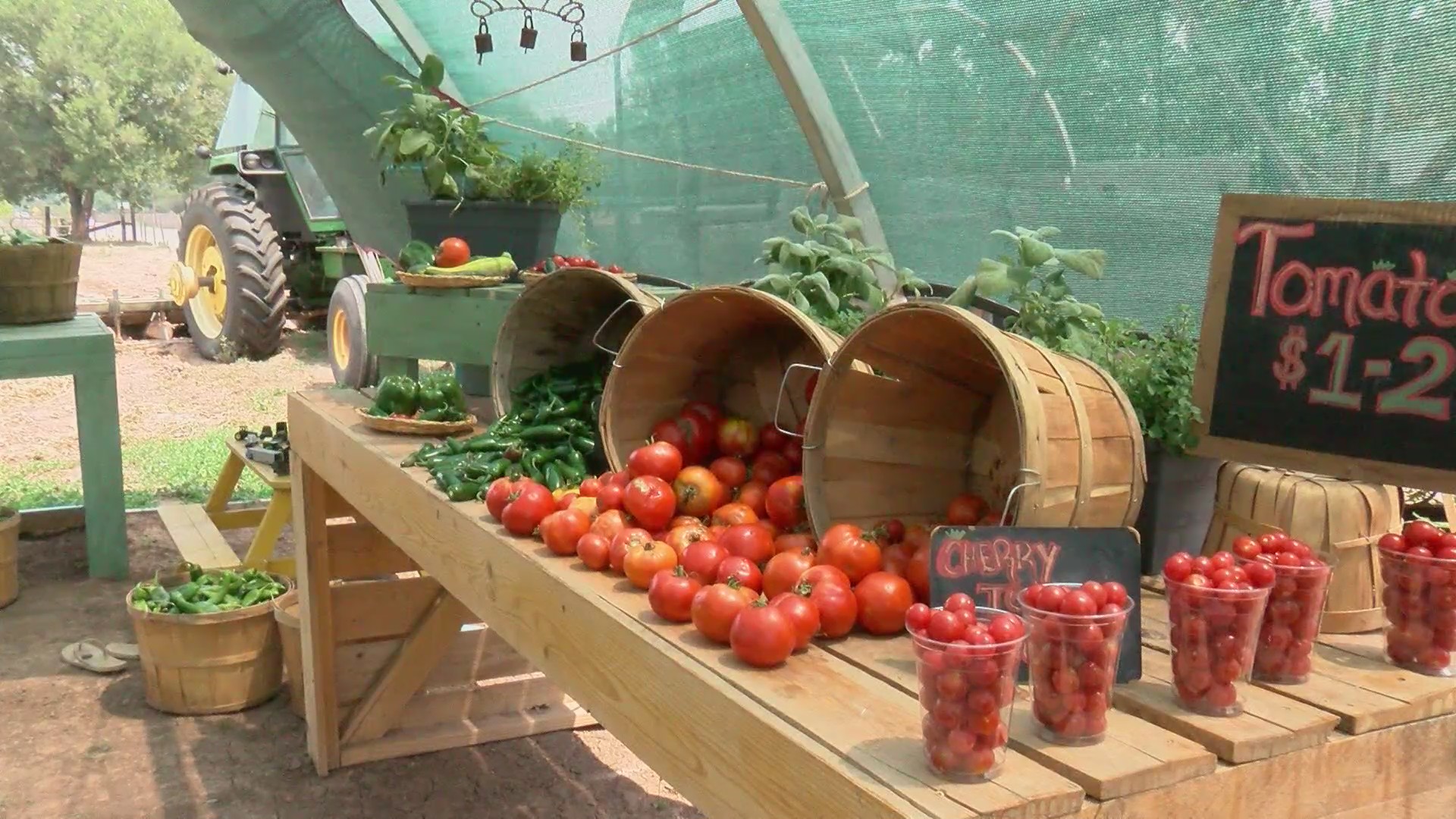 Big Jim Farms celebrates opening weekend – KRQE NEWS 13 – Breaking News ...
